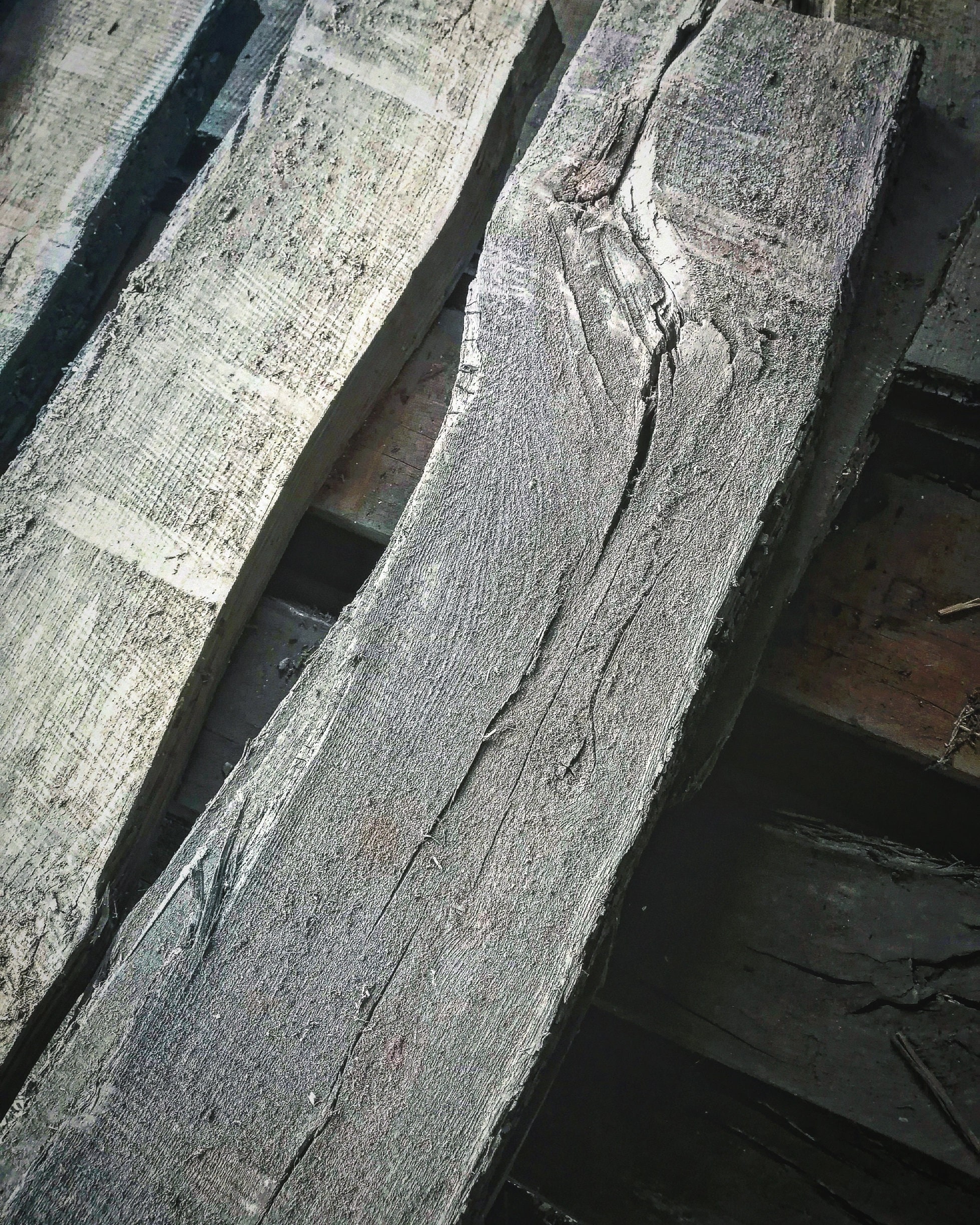 Bog Oak Wood Live Edge Slabs Etsy