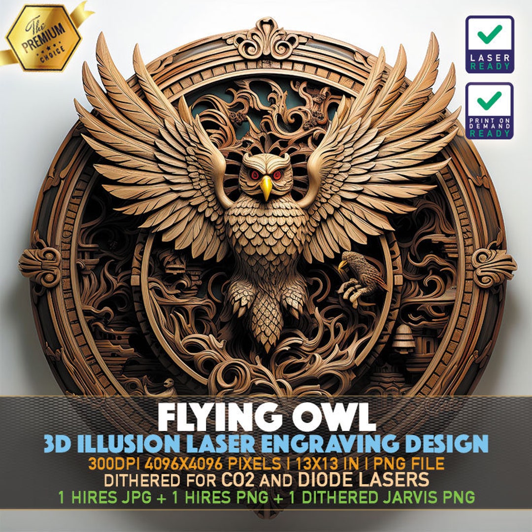 3D Illusion Flying Owl Laser Engraving File (PNG, JPG) - Etsy