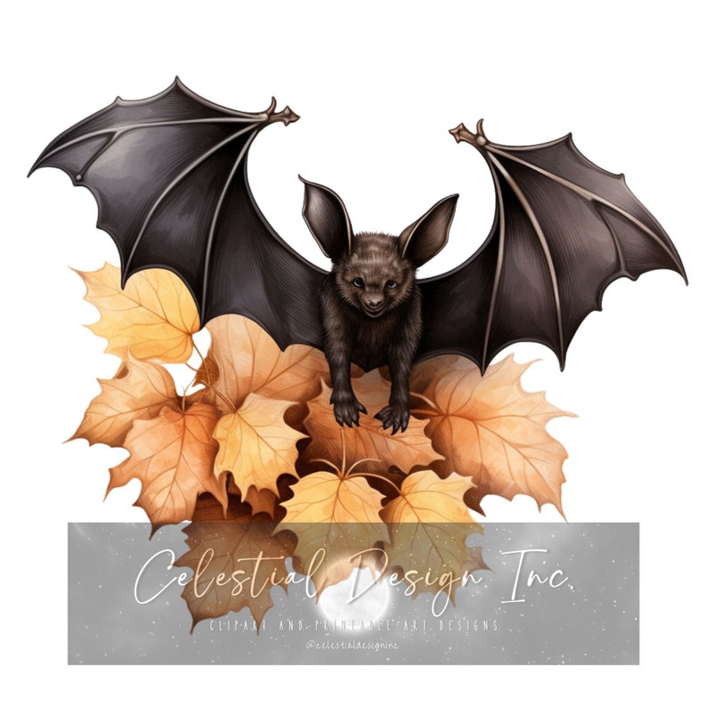 Witchy Fall PNG Clipart Bundle Full License 40 Designs Instant Download ...