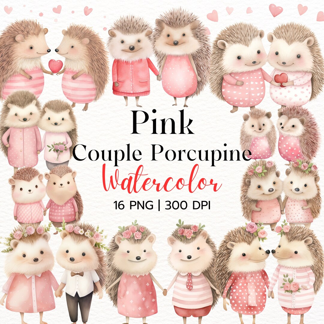 Pink Couple Porcupine Watercolor, Valentines Clipart, Porcupine ...