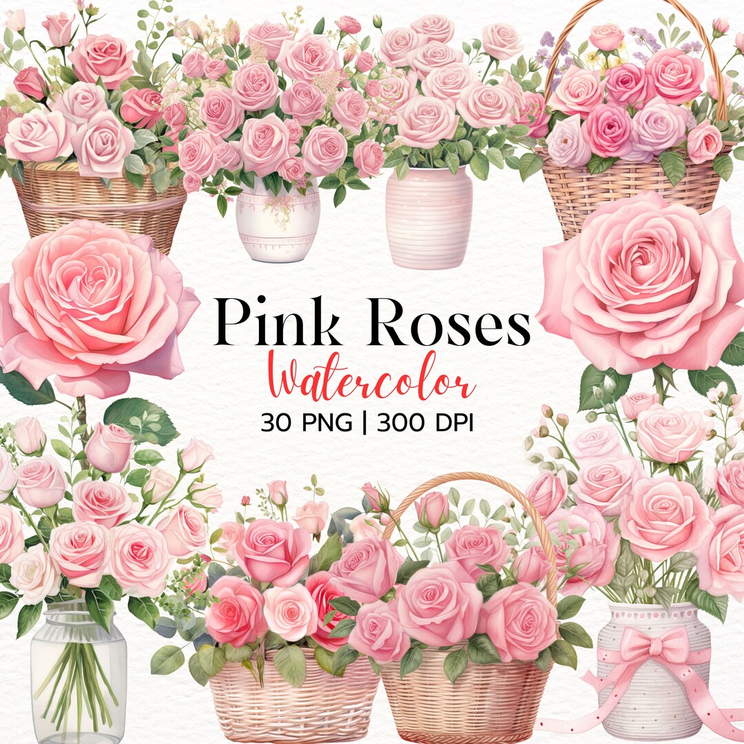 Pink Roses Watercolor Clipart: Floral Digital Art (30 PNG) - Etsy
