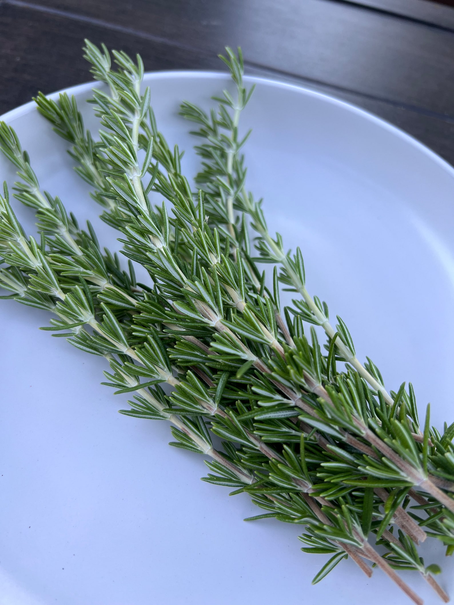 Freshly Cut Rosemary Bundle, Shower Bundle, Rosemary, Flower ...