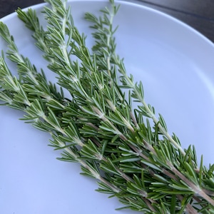 Freshly Cut Rosemary Bundle, Shower Bundle, Rosemary, Flower ...