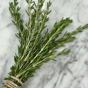 Freshly Cut Rosemary Bundle, Shower Bundle, Rosemary, Flower ...