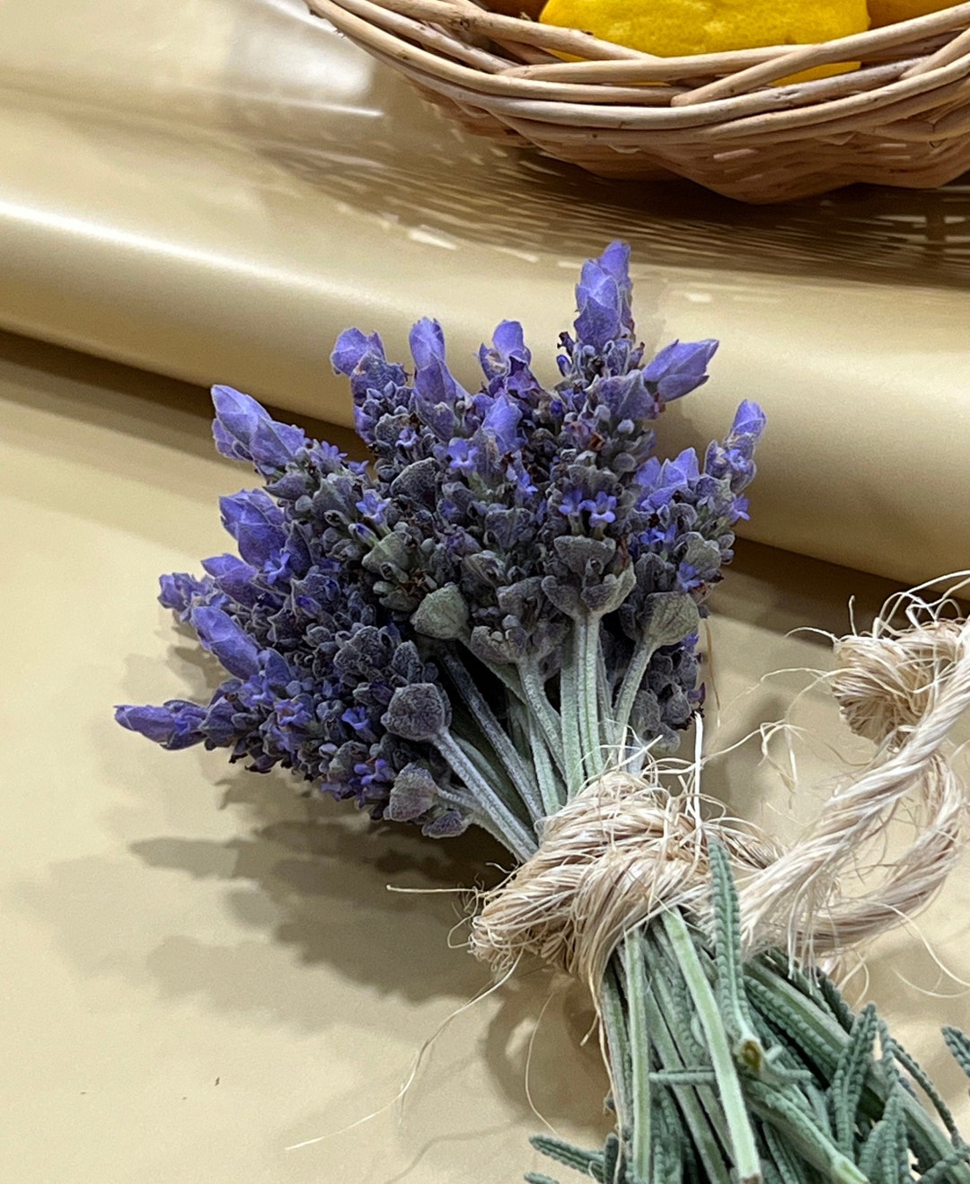 Freshly Cut English Lavender Bundle for Decor & Aromatherapy, Fresh ...
