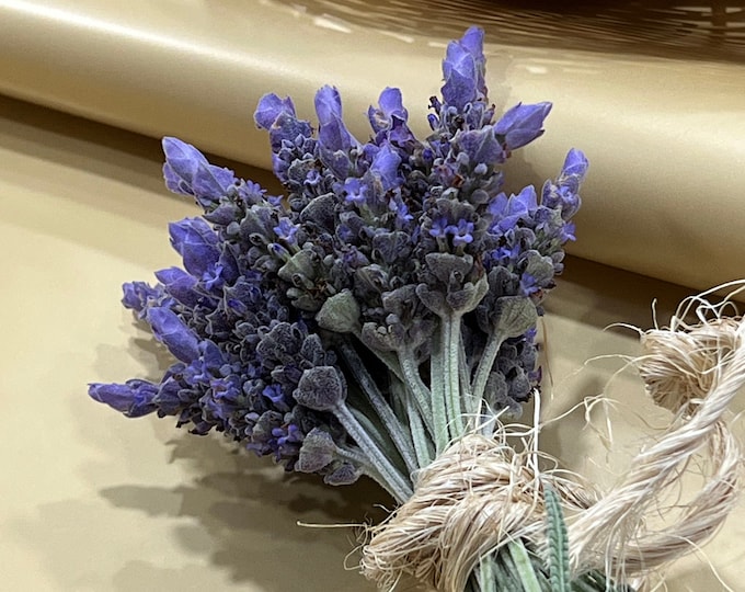Freshly Cut English Lavender Bundle for Decor & Aromatherapy, Fresh ...