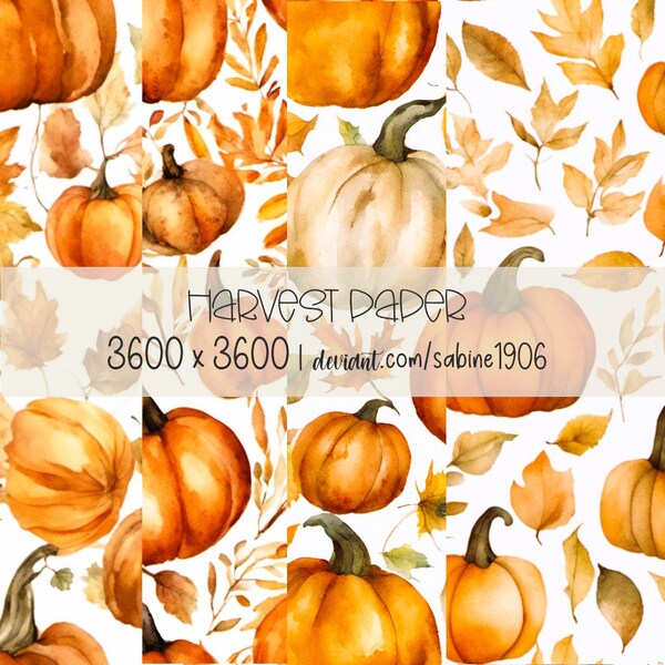 Prim Graphics - Etsy