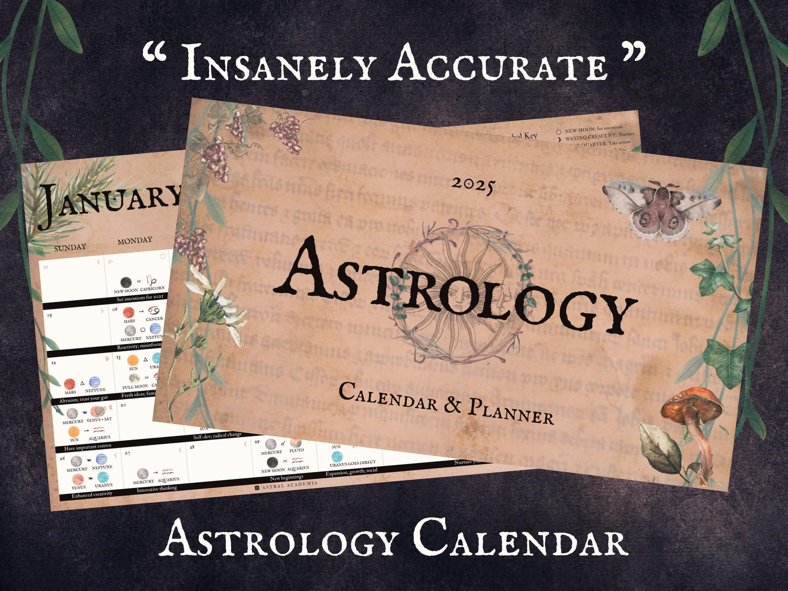 Witchy Planner (2025 Astrology Calendar) - Digital Grimoire Pages PDF ...