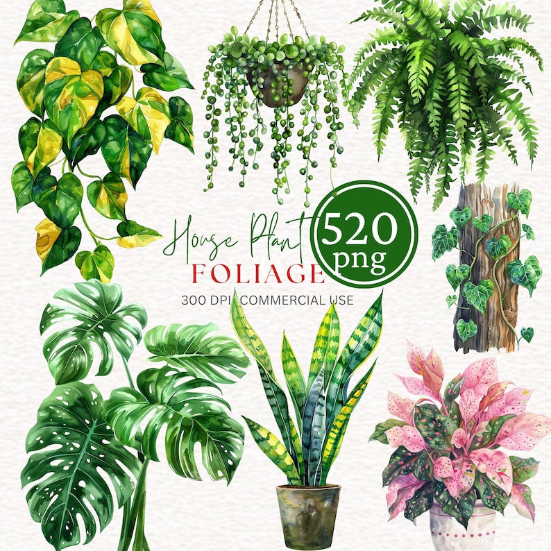 TROPICAL FOLIAGE Clipart Cactus Succulent Greenery Decor, Monstera Leaf ...