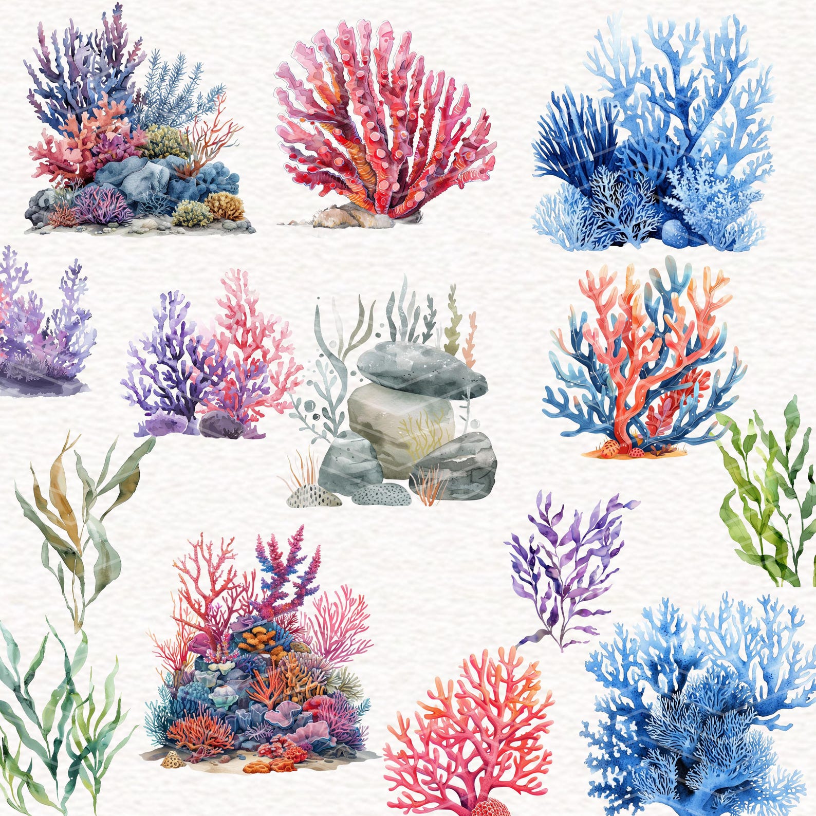 80 Watercolor Undersea Animals Clipart, Cute Ocean Animals Clipart ...