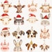 Birthday Farm Animals Party Clipart Cute Farm Watercolor Clipart Animal ...