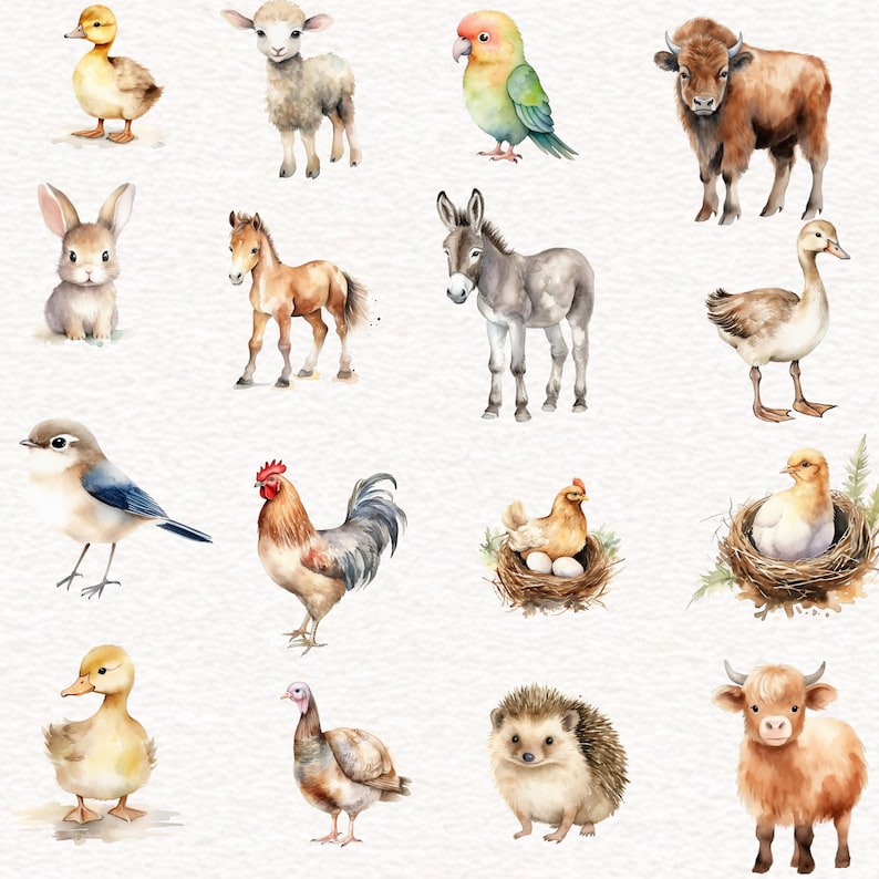 150 Watercolor Farm Life Clipart, Cute Farm Clipart, Farm Animal ...