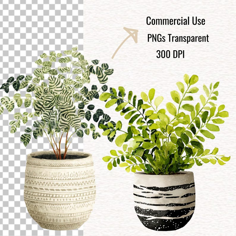 Watercolor House Plant Clipart Home Plant Potted Plant Illustration ...