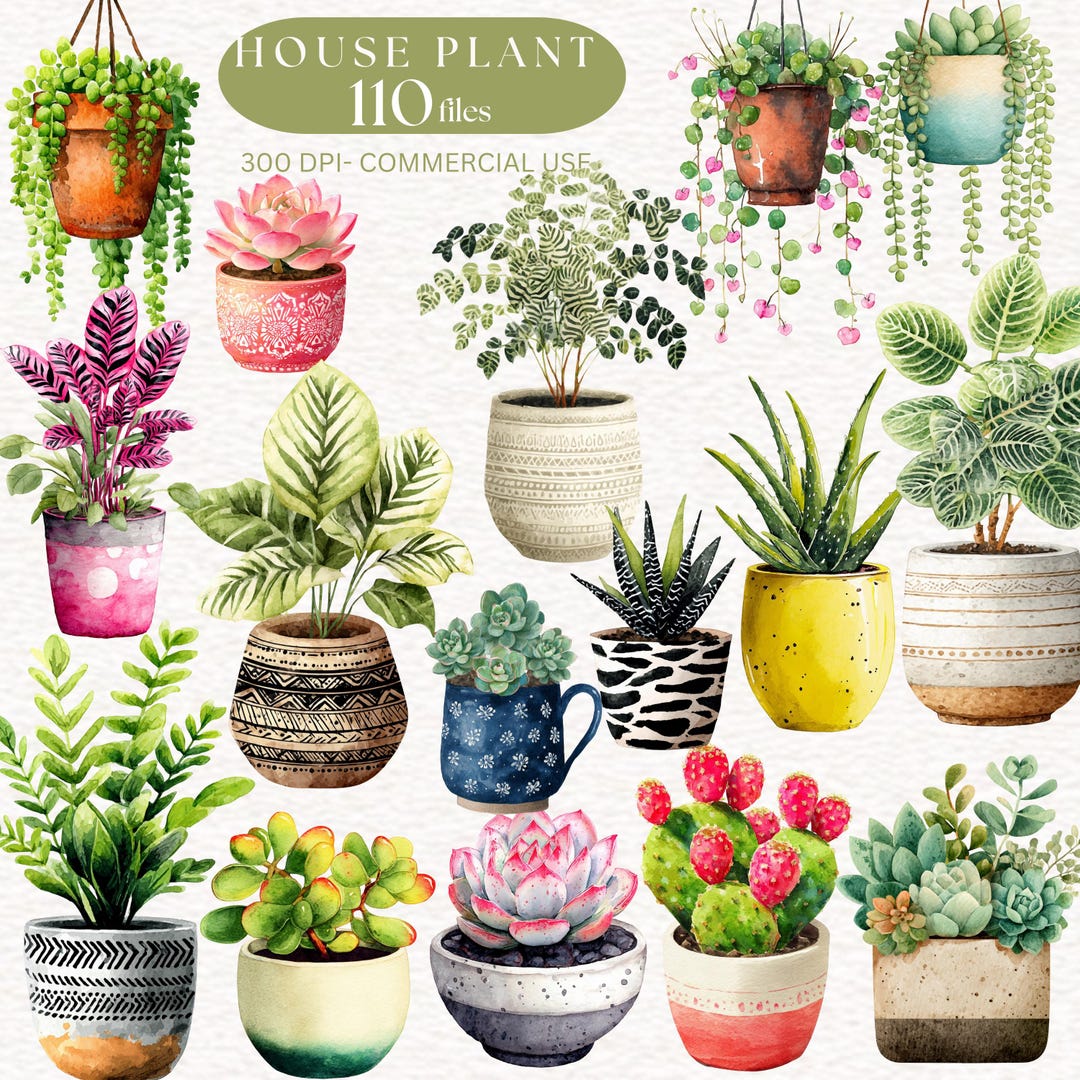 Watercolor House Plant Clipart Home Plant Potted Plant Illustration ...