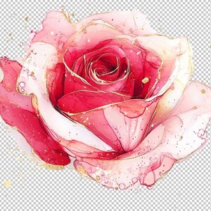 18 Abstract Red Rose Clipart, Flowers Clipart, Botanical Art, Printable ...