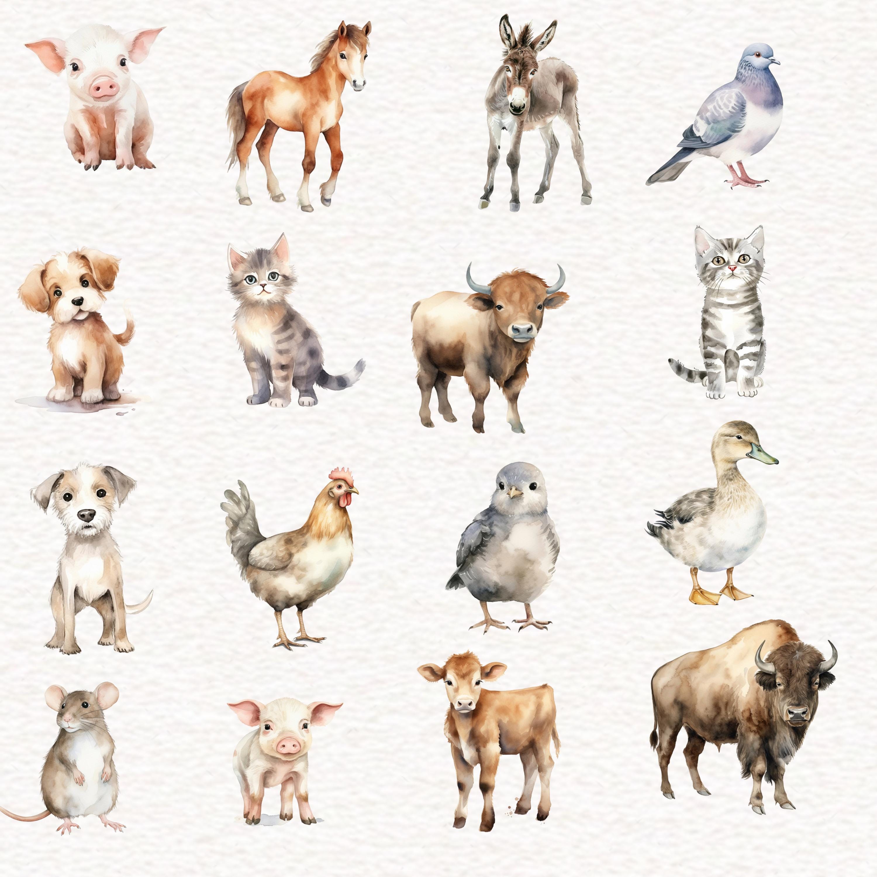 150 Watercolor Farm Life Clipart, Cute Farm Clipart, Farm Animal ...