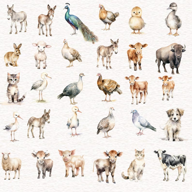 150 Watercolor Farm Animals Clipart, Cute Farm Clipart, Animal Clipart ...