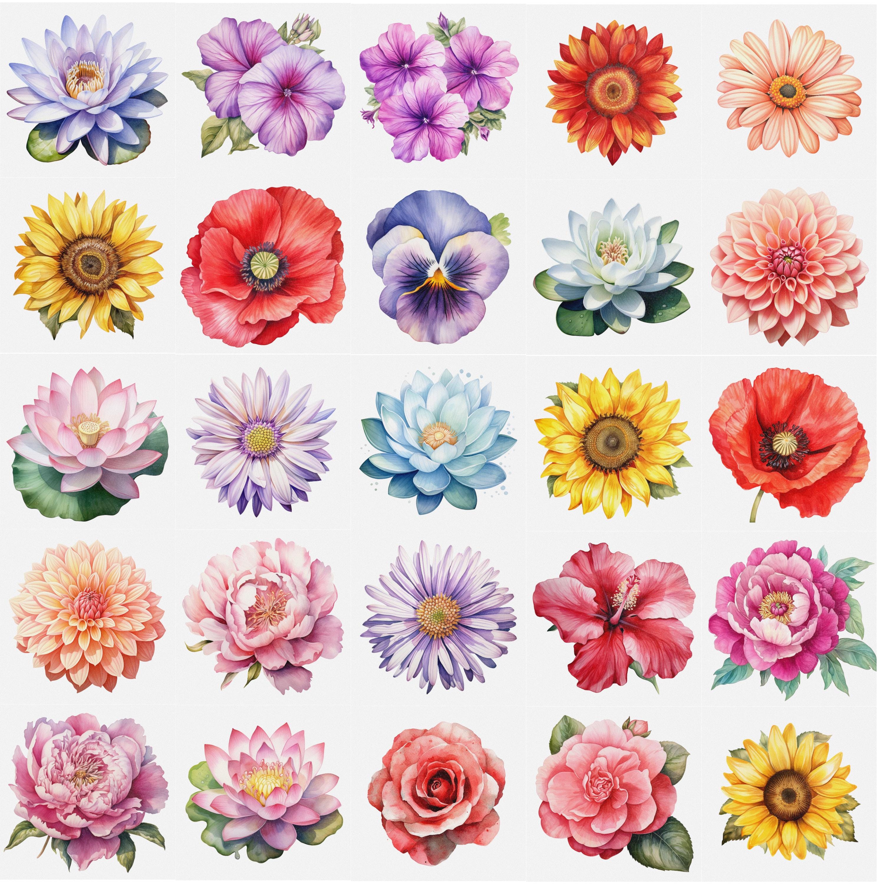 150 Watercolor Flower Sticker Clipart, Botanical Art, Summer Floral ...