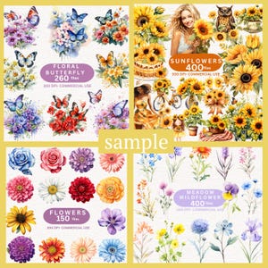 Lifetime Shop Access, Whole Shop Clipart Bundle, Entire Store Bundle ...