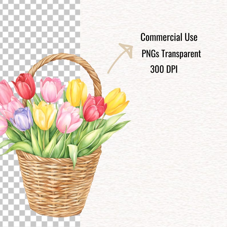 Summer Spring Tulips Clipart Tulip Pastel Bouquet Floral PNG Bundle ...
