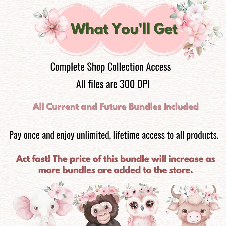 Lifetime Shop Access, Whole Shop Clipart Bundle, Entire Store Bundle ...