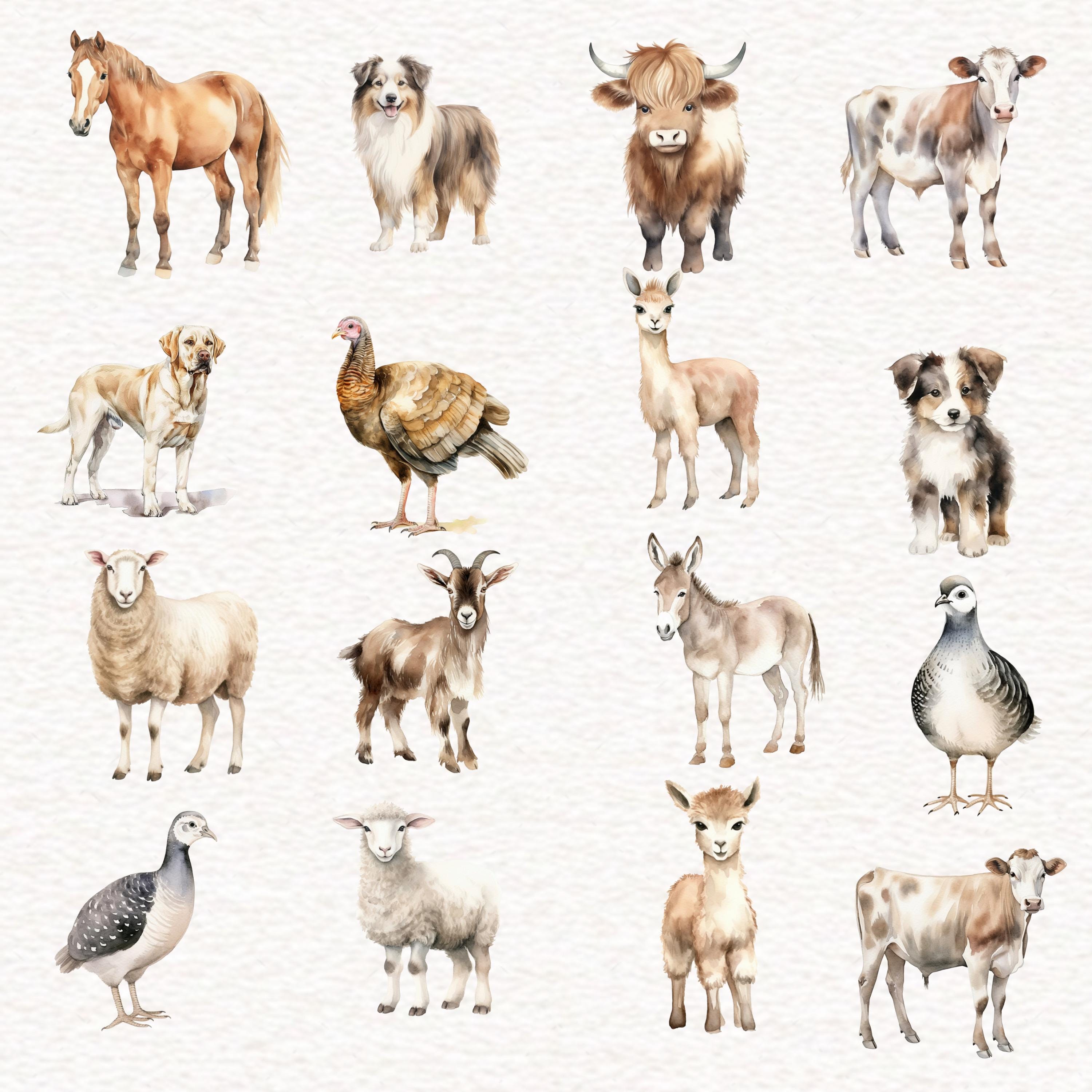 150 Watercolor Farm Life Clipart, Cute Farm Clipart, Farm Animal ...