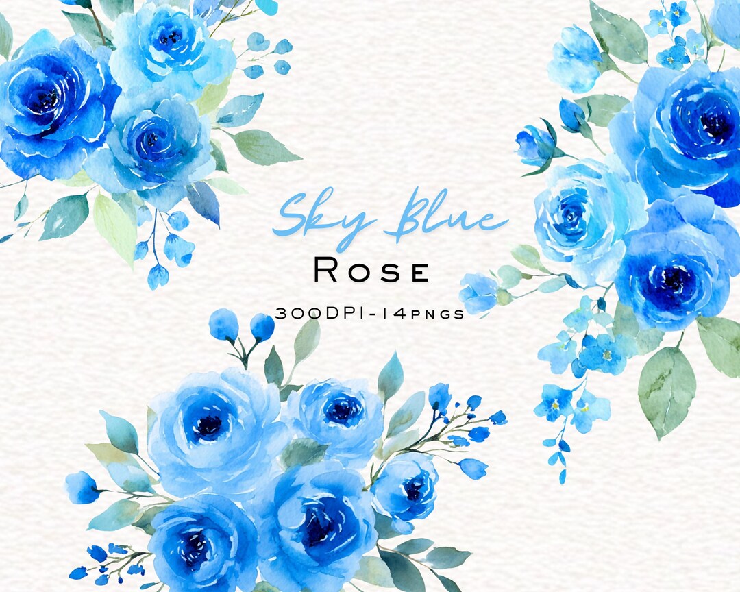 Watercolor Pastel Blue Roses Clipart, Floral Indigo Blue PNG, Wedding ...