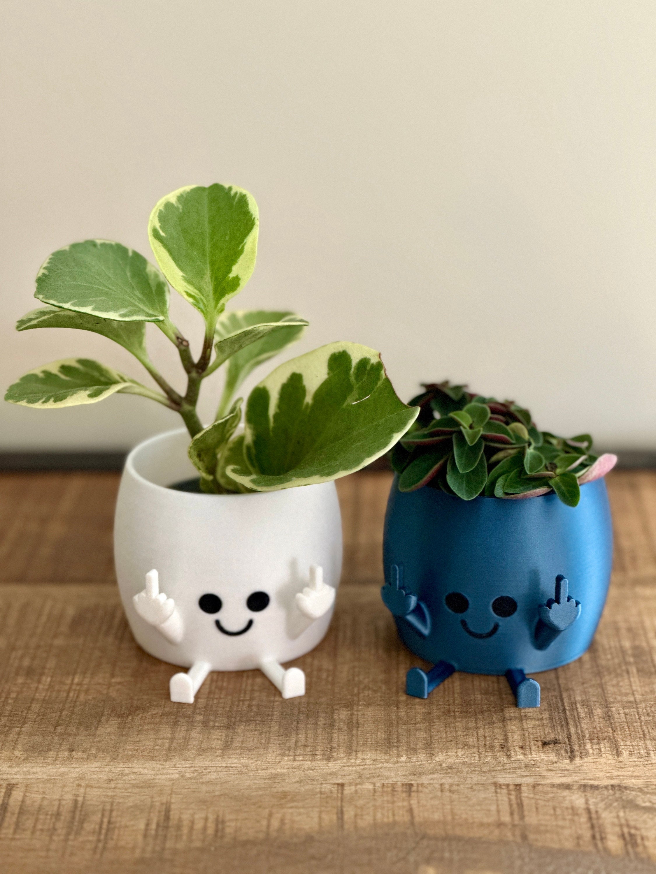 Cache pot doigt d'honneur rigolo en impression 3D - Etsy France