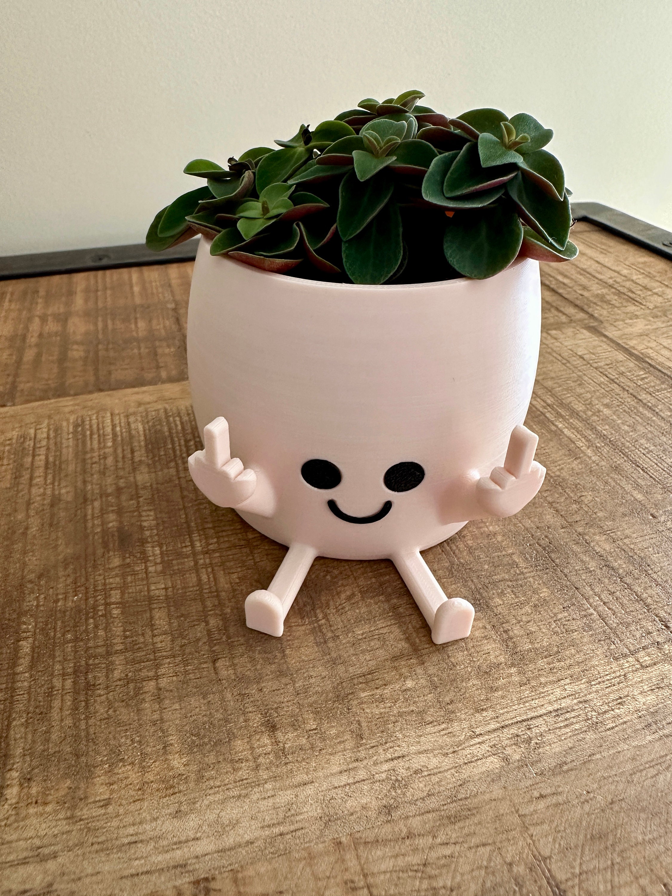 Cache pot doigt d'honneur rigolo en impression 3D - Etsy France