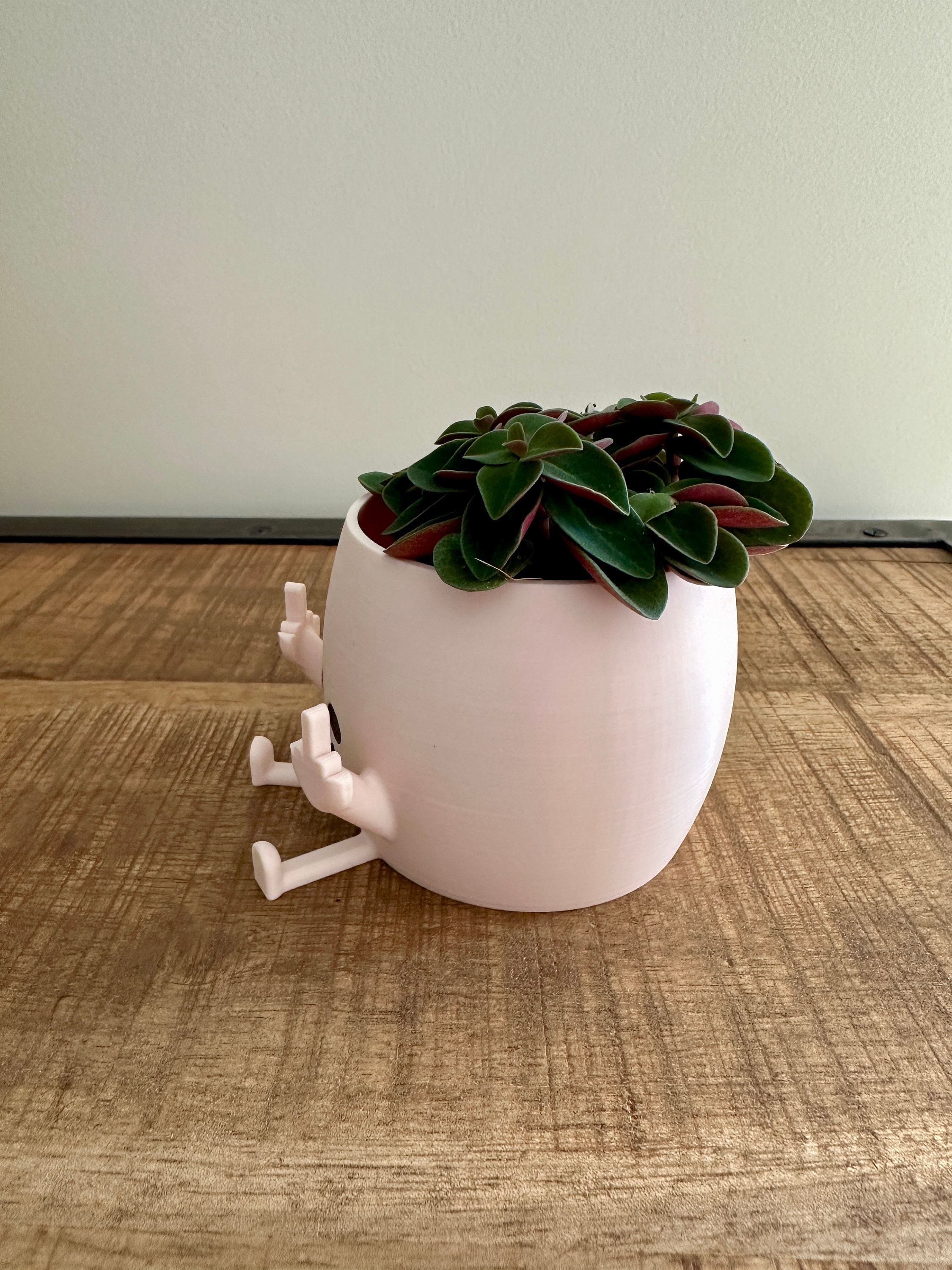 Cache pot doigt d'honneur rigolo en impression 3D - Etsy France