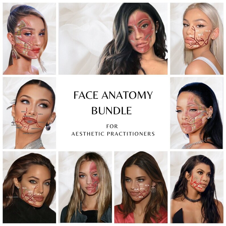 BUNDLE of 15 ANATOMY OVERLAYS - Etsy