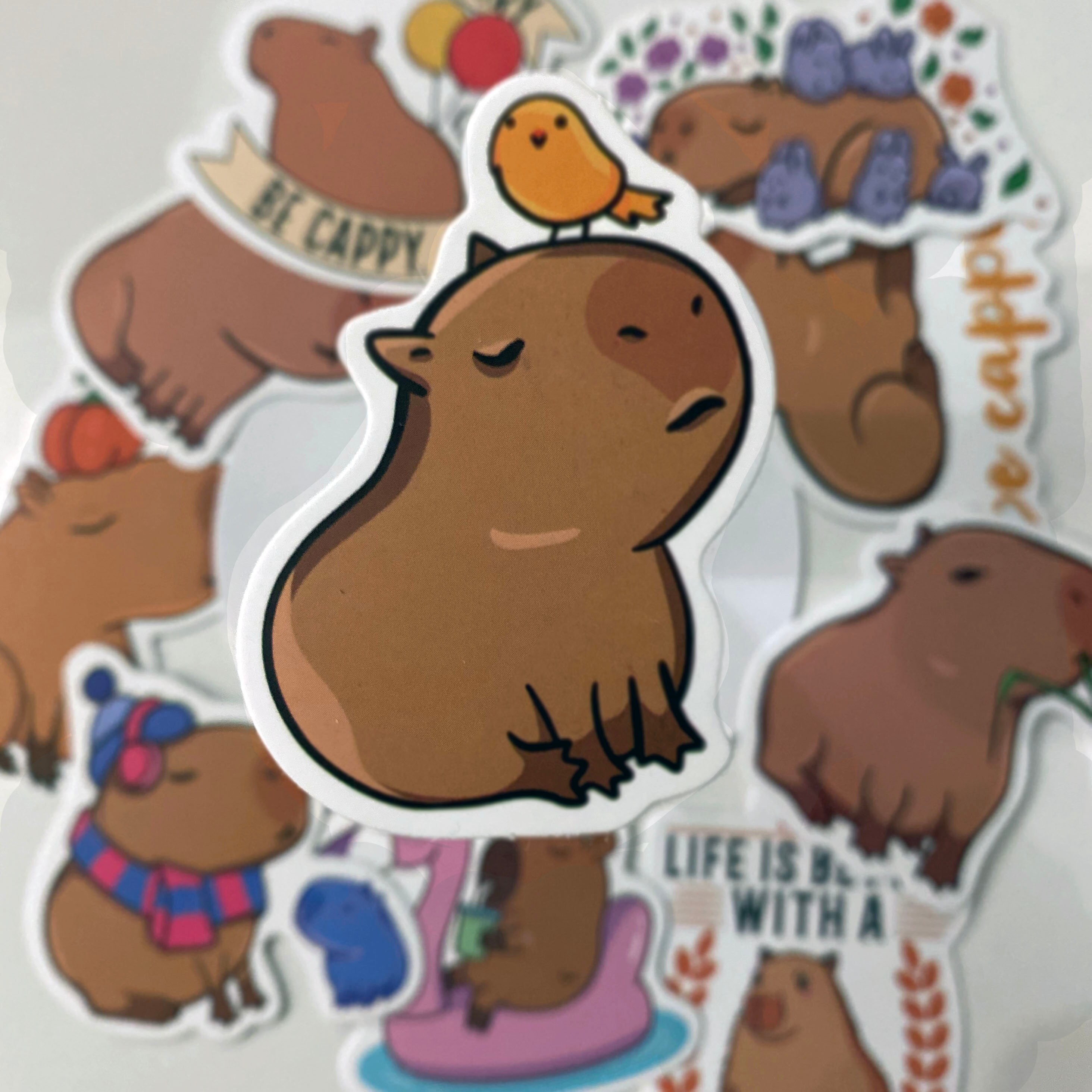 The Cute Capybara One Capybara Sticker Pack Cute Cappy - Etsy