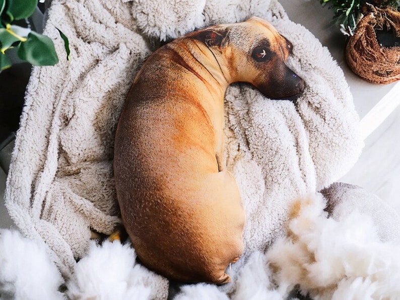 Cuddly Dog Plushie, the Doggy Style, Whelp, Pooch, Mutt, Snoop Dogg ...