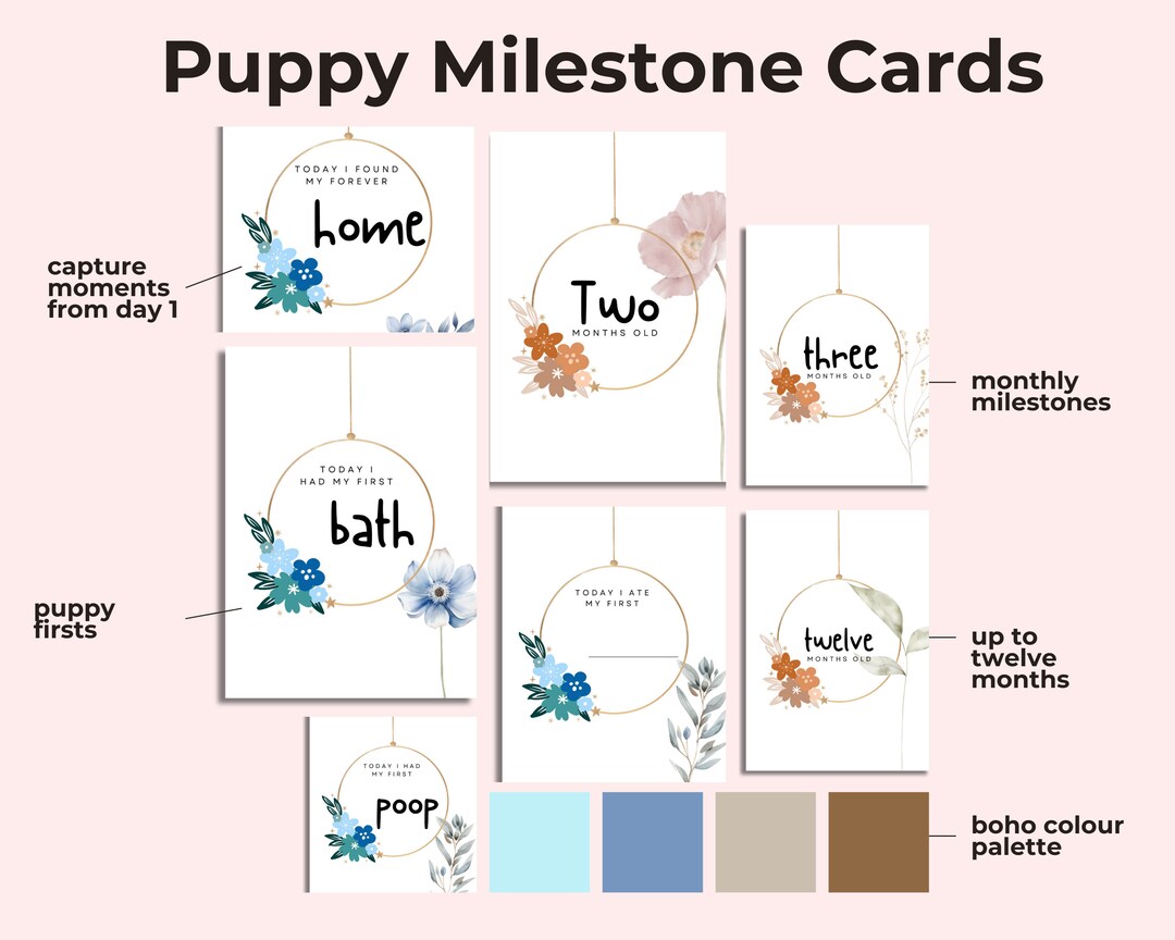 Printable Puppy Milestone Cards, Dog Mum Gift, New Puppy Celebrations ...