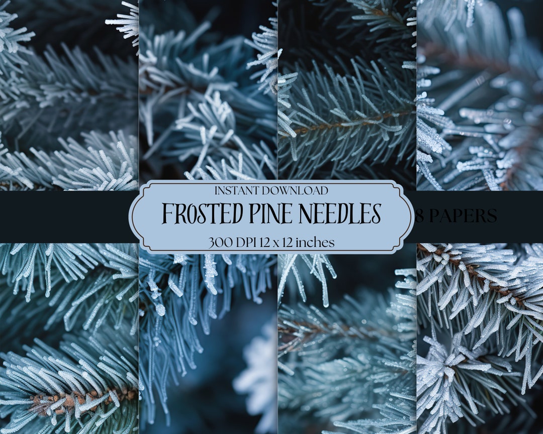 Frosted Winter Trees Digital Patterns - Instant Download, Whimsical ...