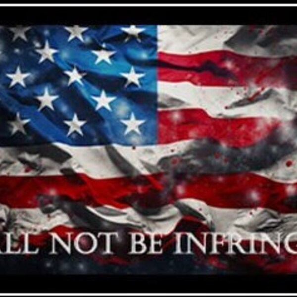 Shall Not Be Infringed Decals Stickers - Etsy