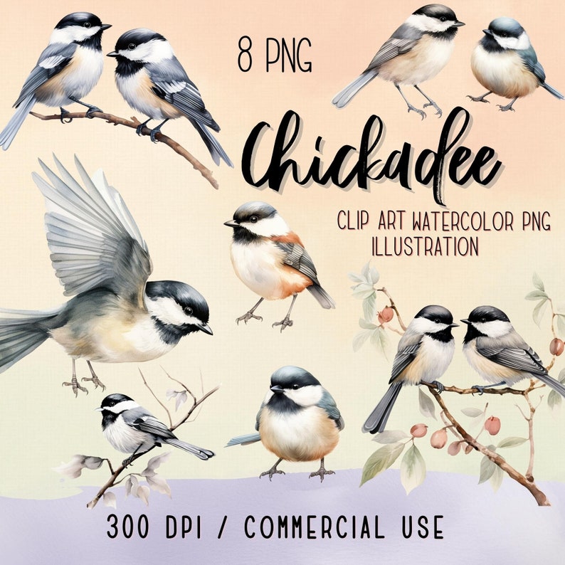 Watercolor Chickadee Clipart: 8 PNG Illustrations, Commercial Use (digital Download) - Etsy