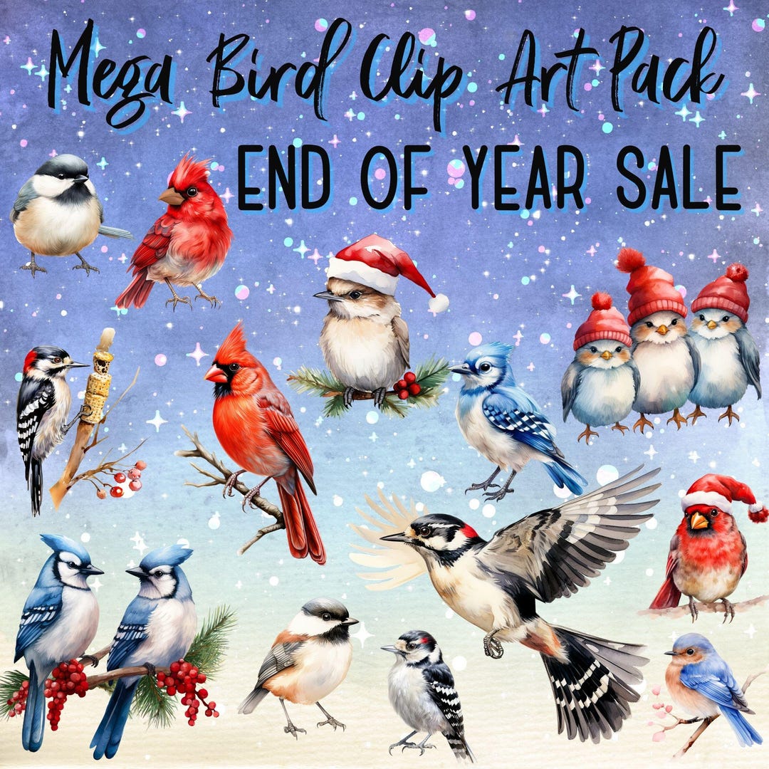Watercolor Bird Clipart Mega Bundle Digital Download Christmas Robin ...