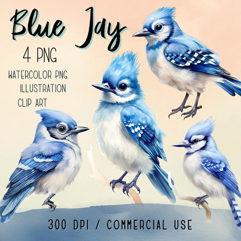 Watercolor Blue Jay PNG Clipart ,art, Paper, Craft, Illustration, 4 ...