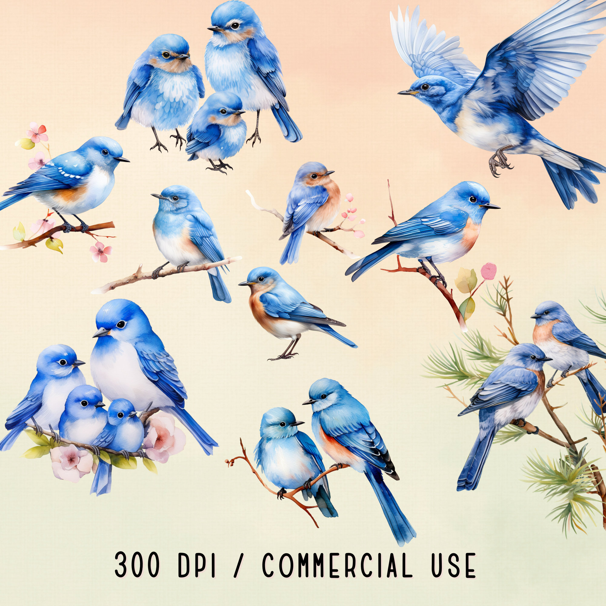 Watercolor Blue Bird Clipart | Instant Download | Digital Download ...