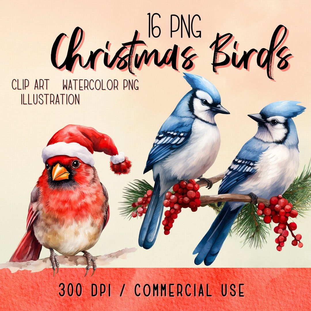 Watercolor Christmas Bird Clipart | Digital Download | Commercial Use ...