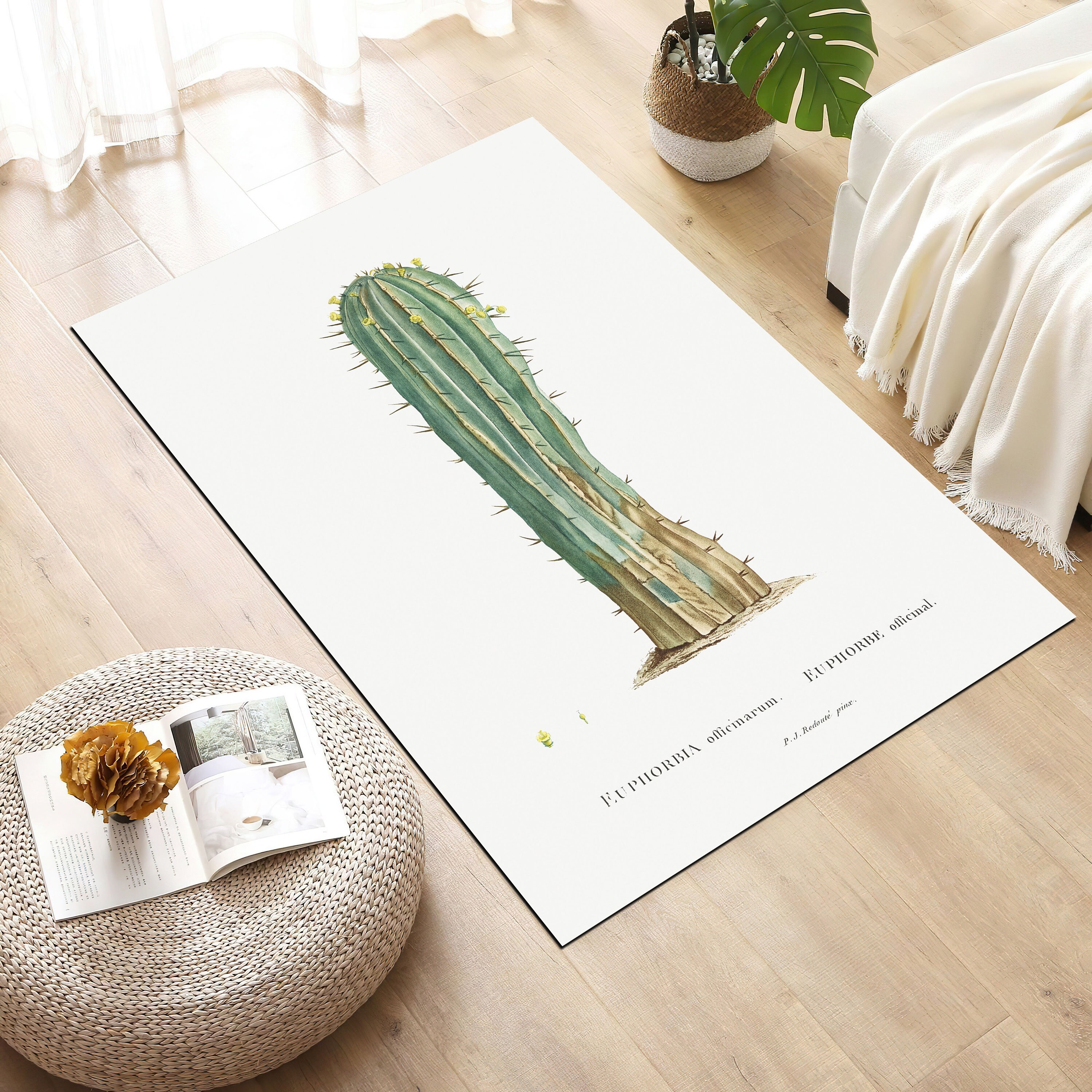 Cactus Rug, Plant Rug, Plant Design, Minimalist Rug, Gifts for Kids ...