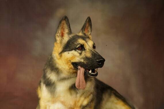 CUSTOM Realistic Dog Replica Articulated Life Size Dog Plushie ...