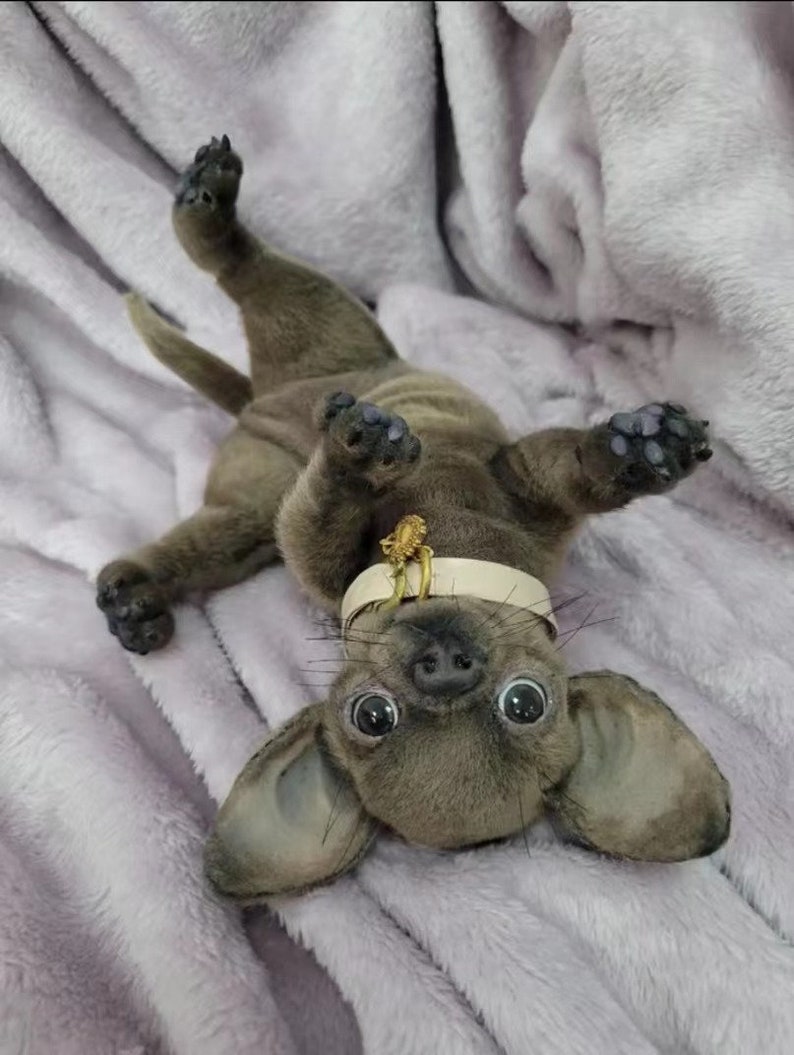 CUSTOM Articulated Dog Replica Realistic Life Size Dog Plushie ...