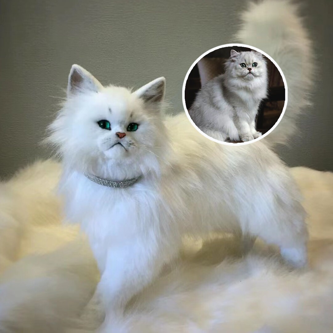 Articulated Realistic Cat Replica Articulated Life Size Cat Plushie ...