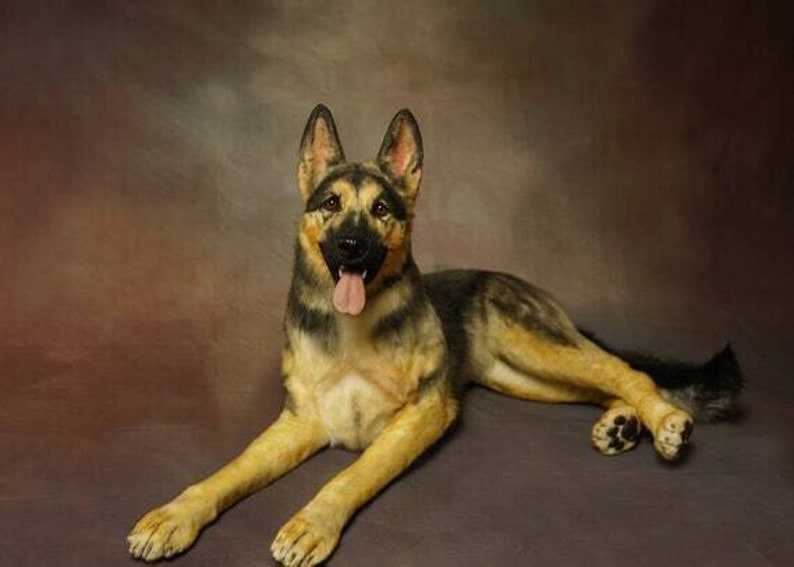 CUSTOM Realistic Dog Replica Articulated Life Size Dog Plushie ...