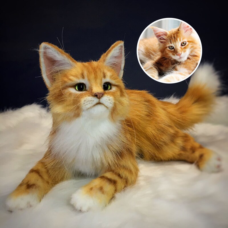 Realistic Cat - Etsy