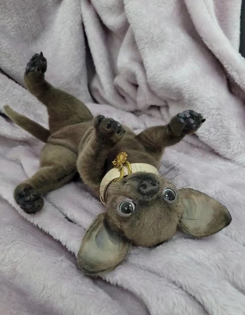 CUSTOM Articulated Dog Replica Realistic Life Size Dog Plushie ...