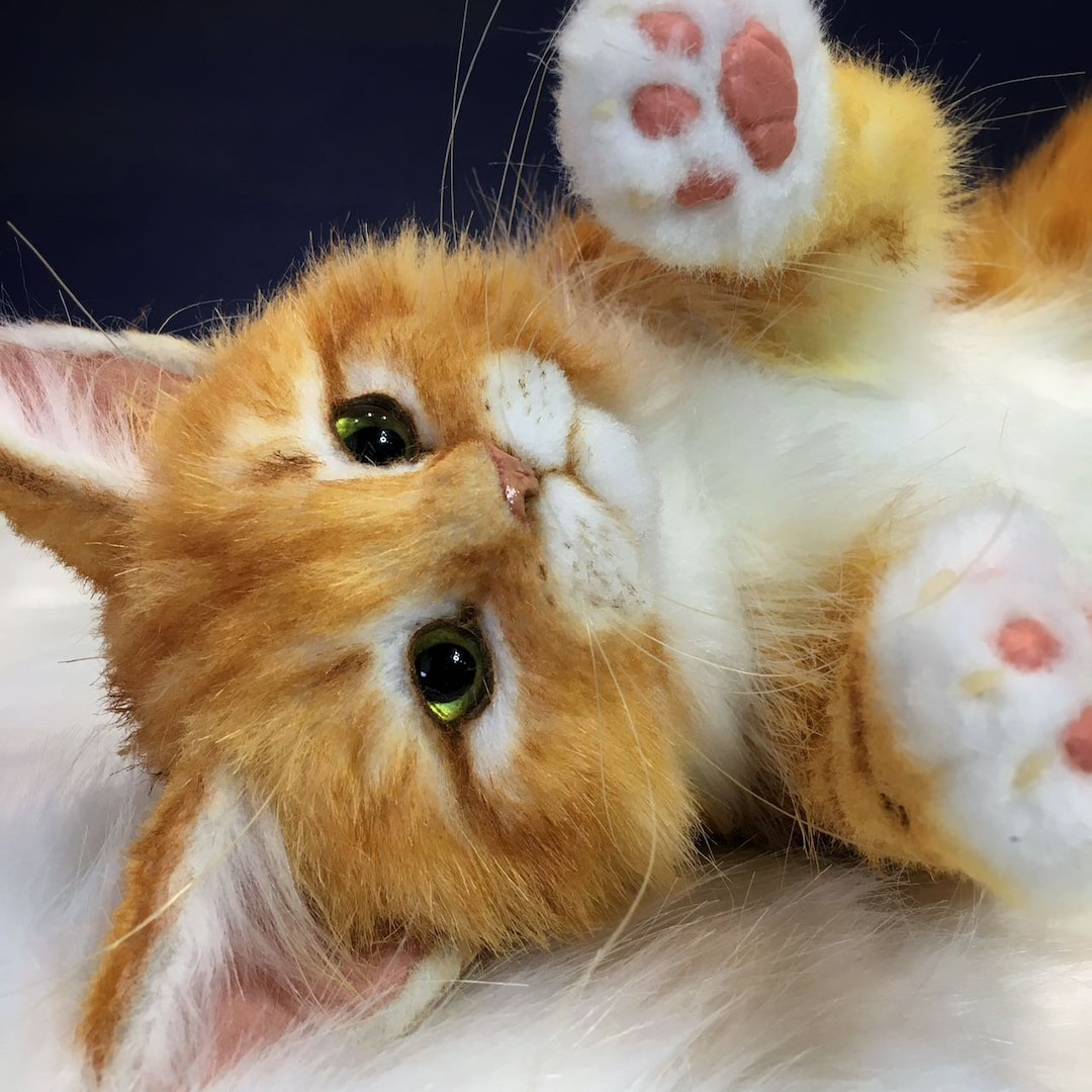 CUSTOM Realistic Life Size Cat Replica Articulated Life Size Cat ...