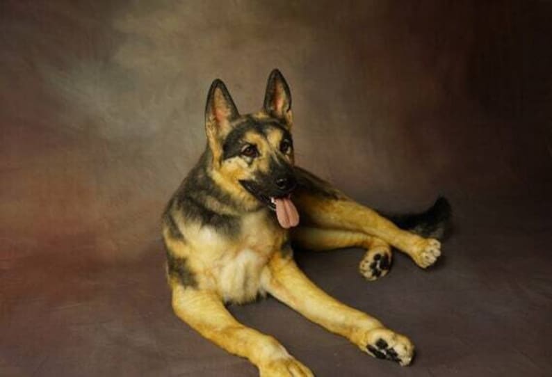 CUSTOM Realistic Dog Replica Articulated Life Size Dog Plushie ...